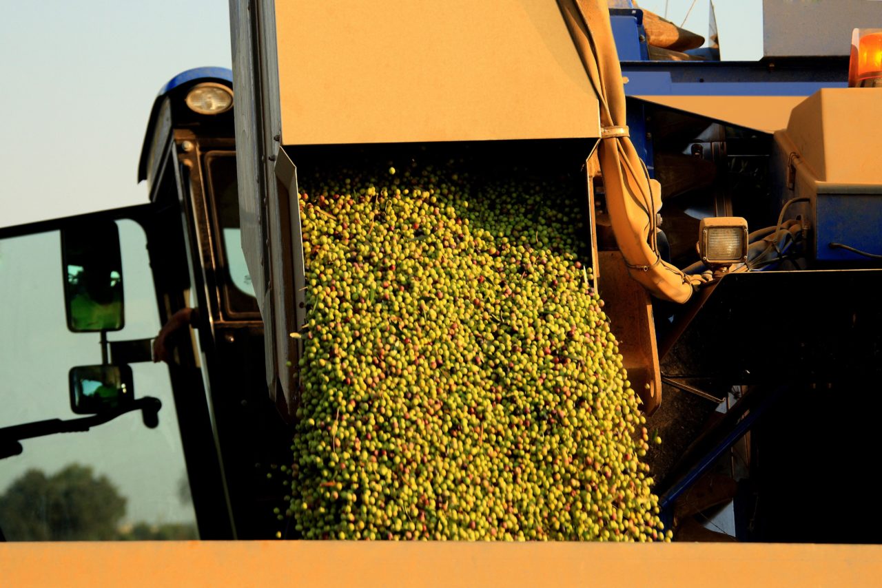 QUÉ NOS HACE ÚNICOS - Innoliva